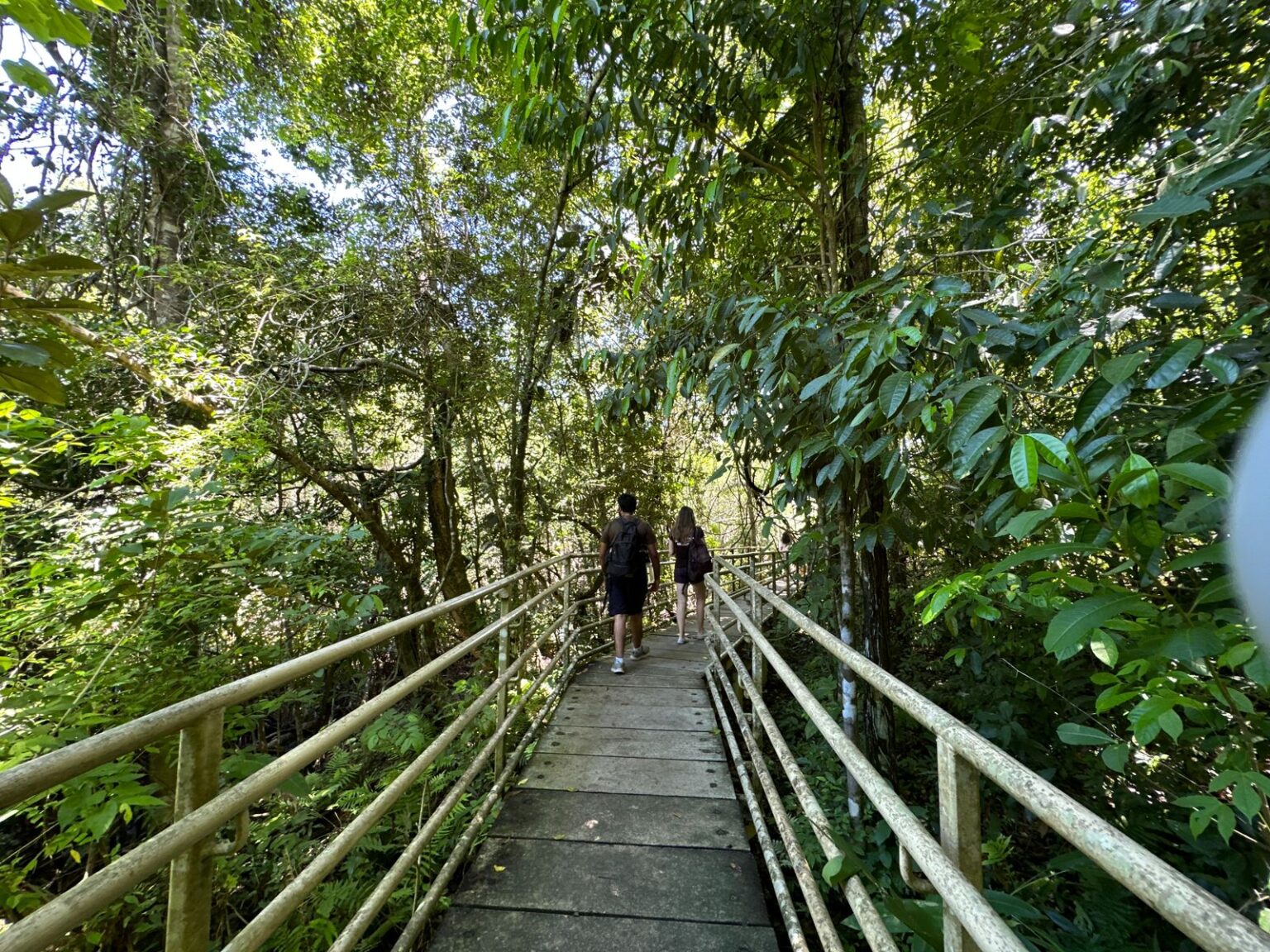 Guide to Organizing Educational Tours Abroad for Teachers – Engaged ...